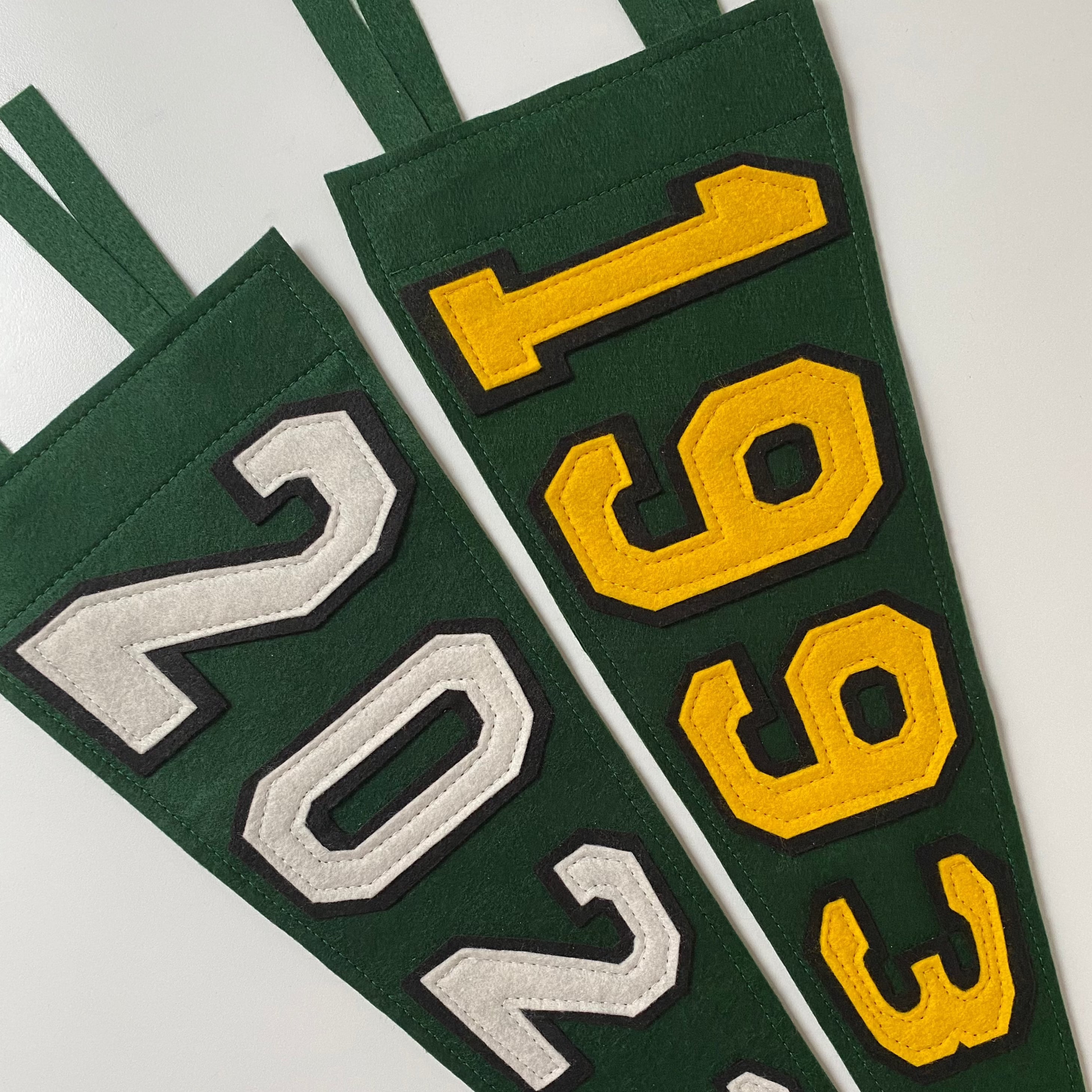 Large Custom Varsity Pennant – Arnold & the Caterpillar