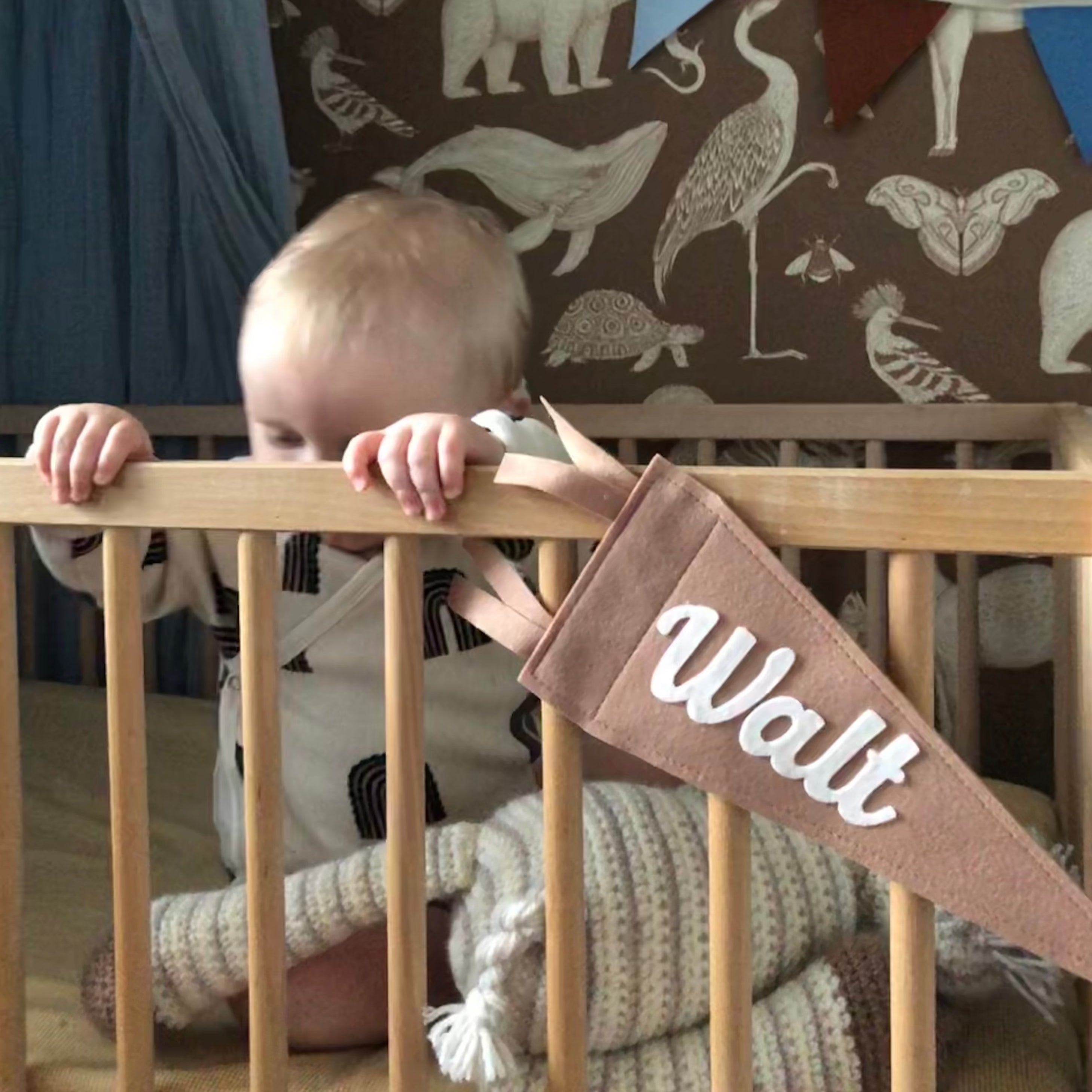 Small Custom Pennant - Cursive Font – Arnold & the Caterpillar